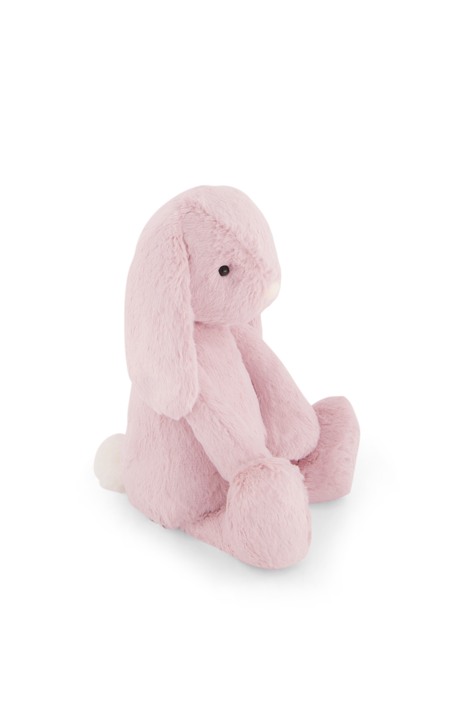 Penelope The Bunny